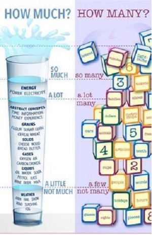 【五分钟语法小课堂】“Several“ ”a few” 到底是多少呢？ - iBS问答